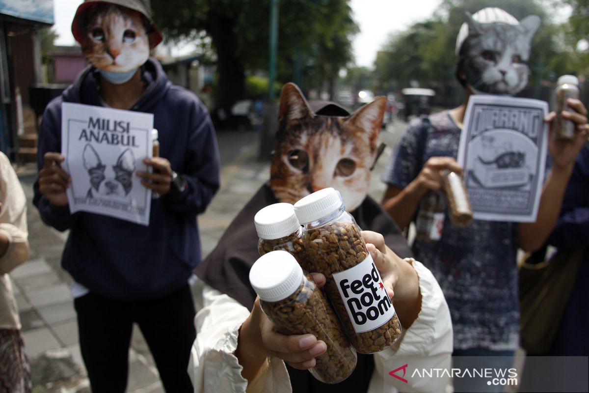 Aksi peduli kucing jalanan - ANTARA News