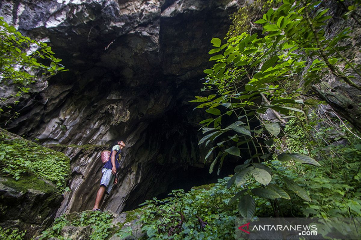 Wisata Alam di Wilayah Geopark Meratus - ANTARA News Kalimantan Selatan