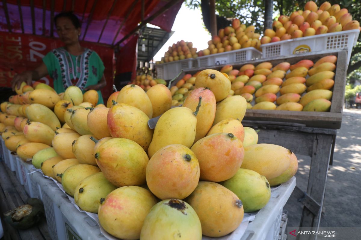 7 buah kaya antioksidan untuk jaga kesehatan dan cegah penyakit kronis - ANTARA News