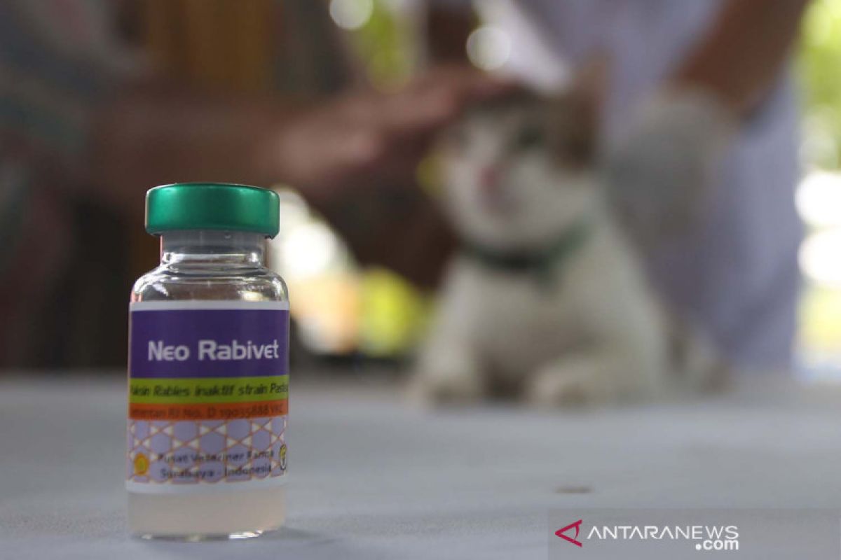Vaksin rabies gratis di Jakarta - ANTARA News