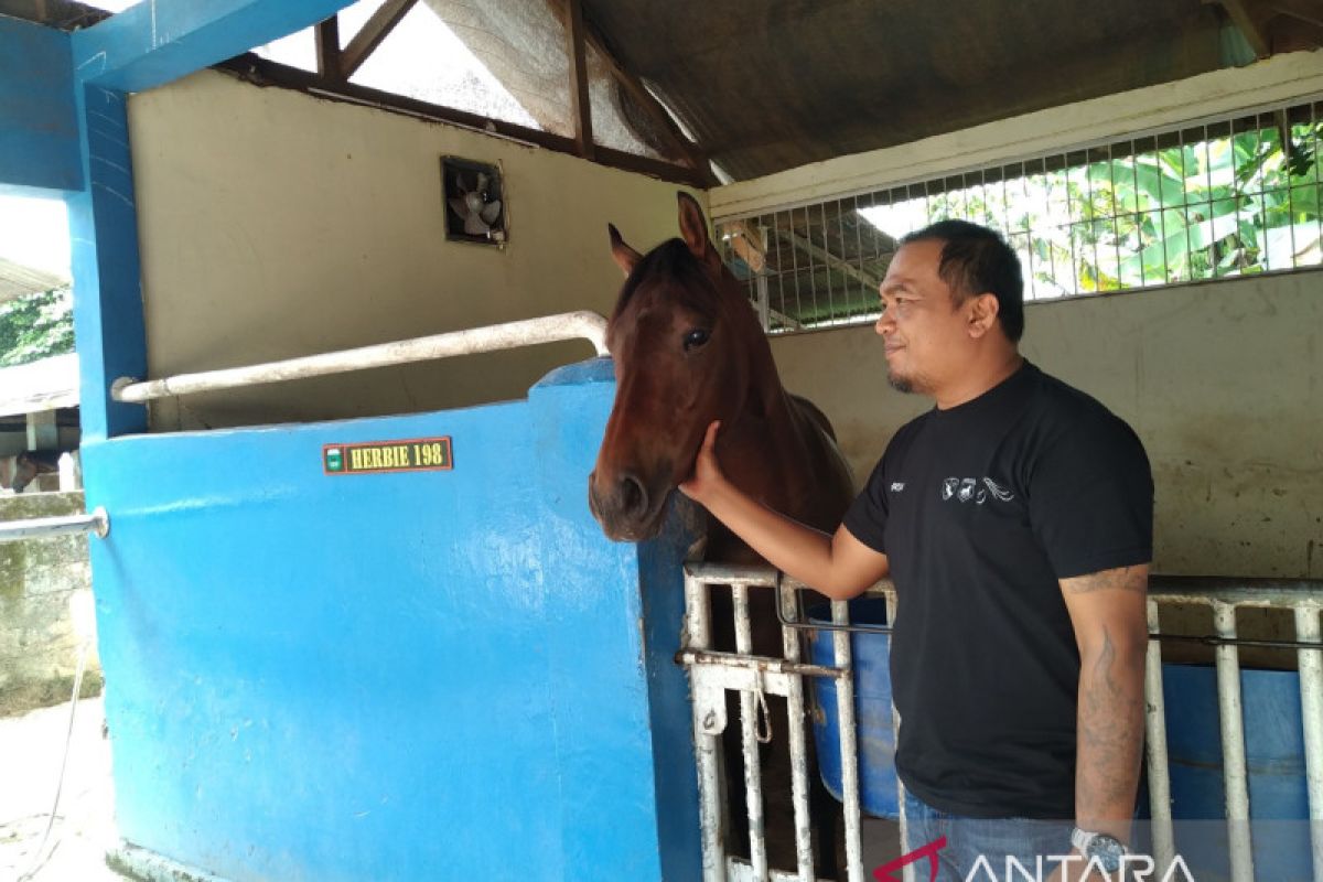 Pacu kuda di Payakumbuh diharapkan dapat naikkan harga kuda pacu ...