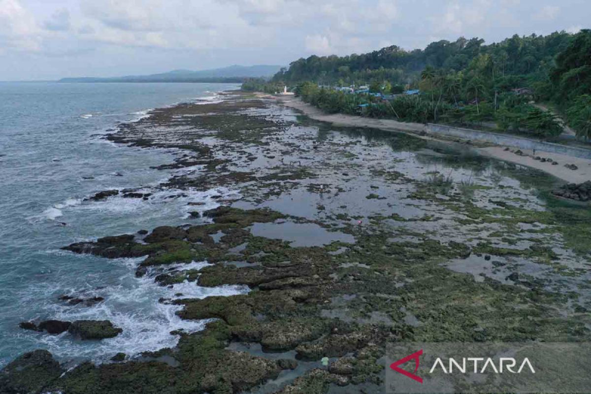 Wisata Pantai Sawar di Kabupaten Sarmi - ANTARA News