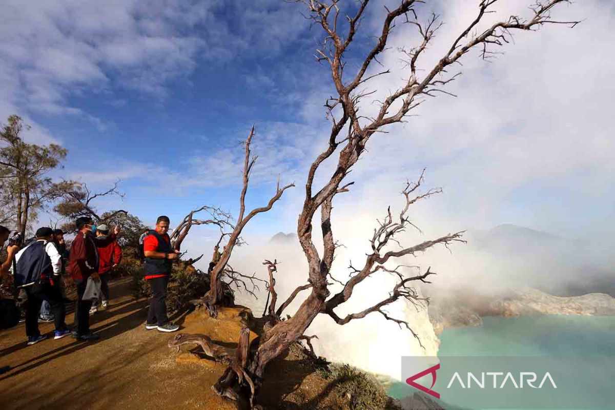 Pesona TWA Kawah Ijen - ANTARA News