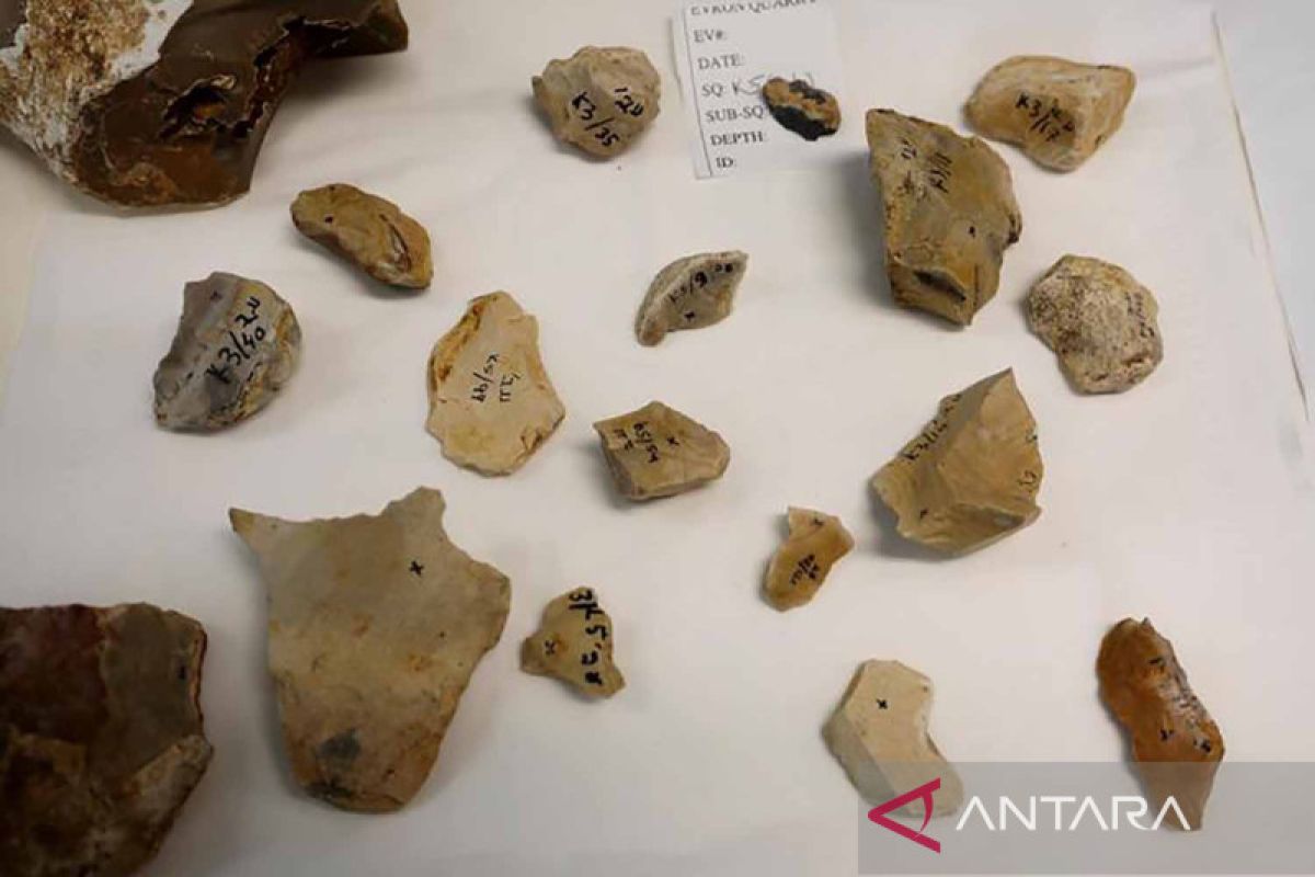 Jejak penggunaan api berusia 800 ribu tahun - ANTARA News