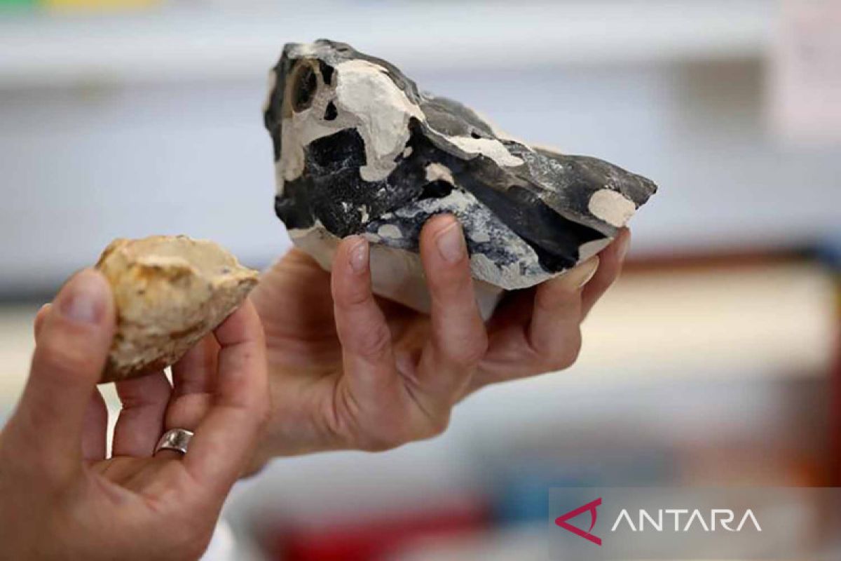 Jejak penggunaan api berusia 800 ribu tahun - ANTARA News