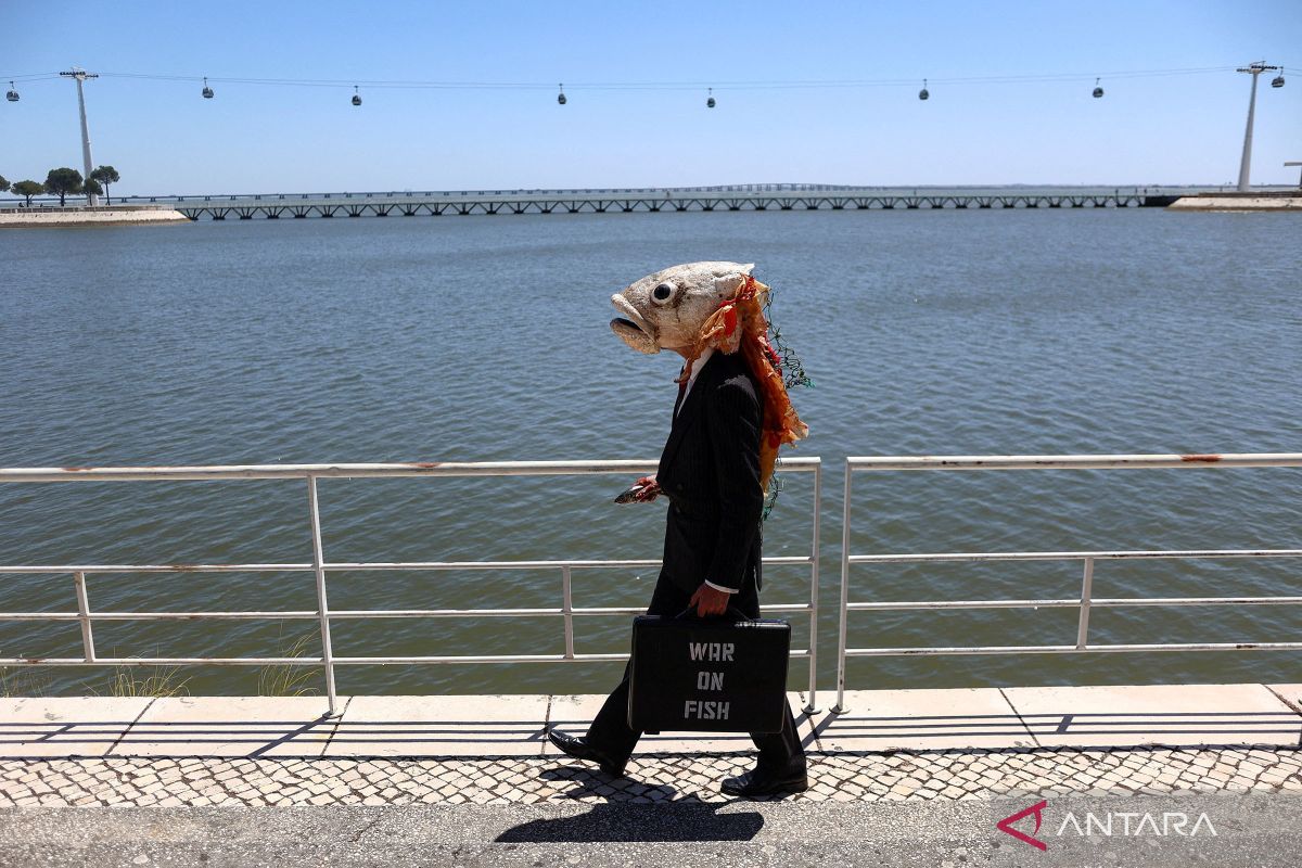 Aksi Ocean Rebellion saat UN Ocean Conference - ANTARA News