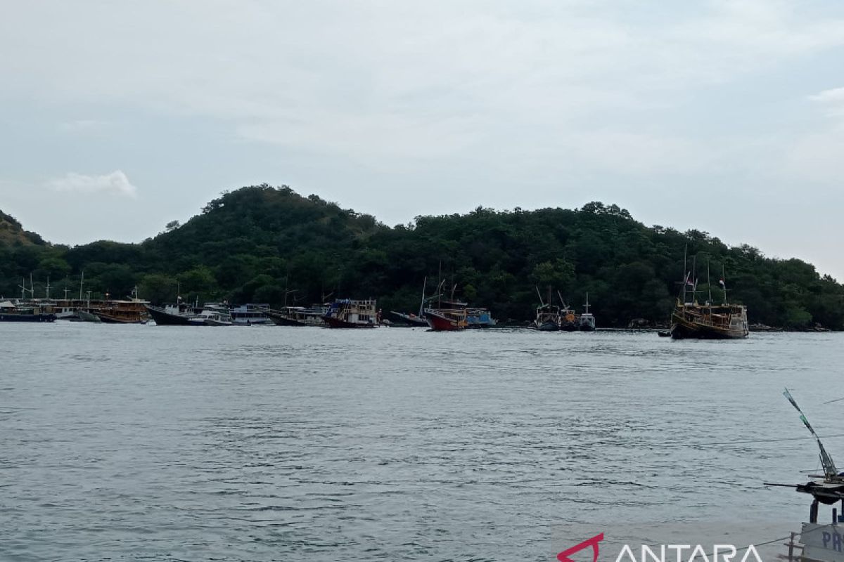 BPBD NTT : Cuaca buruk kapal wisata di Labuan Bajo harus dilarang berlayar - ANTARA News Kupang