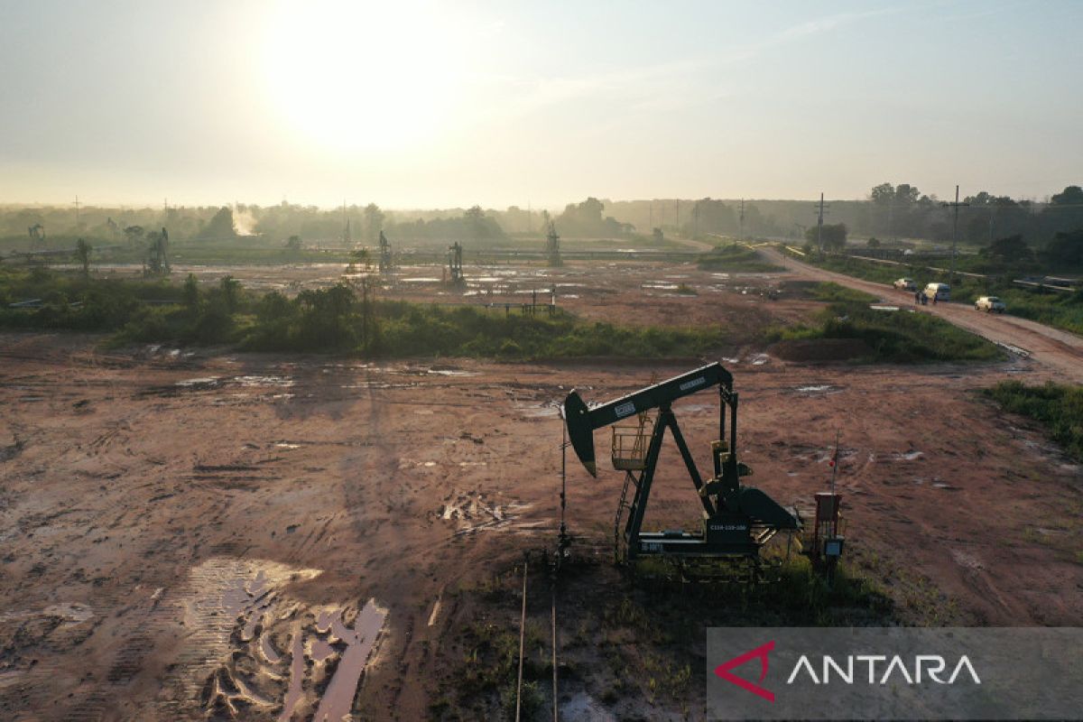 Capaian setahun pengelolaan Blok Rokan - ANTARA News