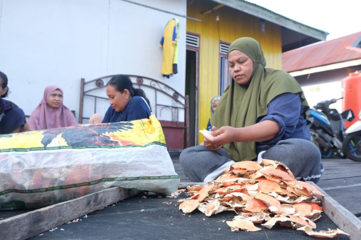 Kitosan cair binaan Pupuk Kaltim kualitas dan efektivitas teruji siap ...