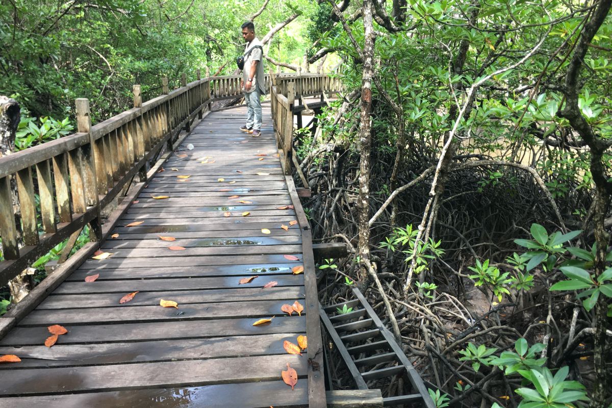 Lokasi wisata alam yang terbengkalai di Kayong Utara - ANTARA News ...