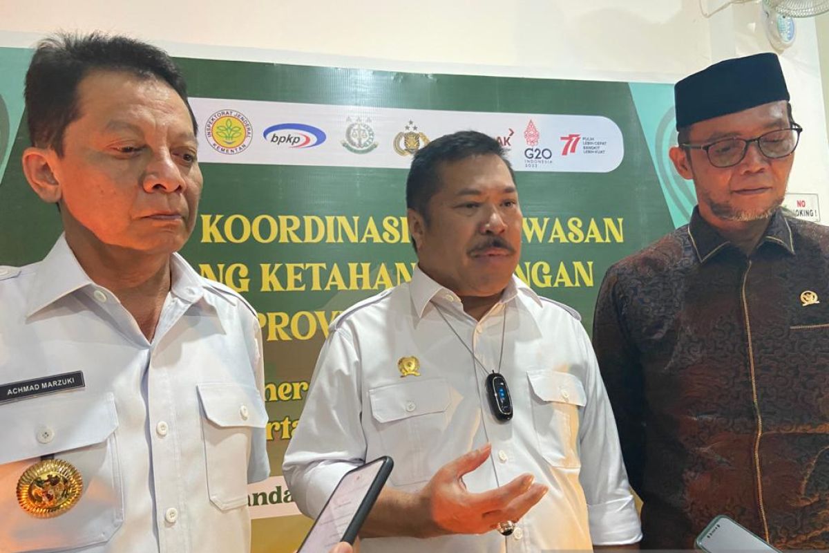Sinergi APIP-APH penting dalam menjaga ketahanan pangan - ANTARA News Aceh
