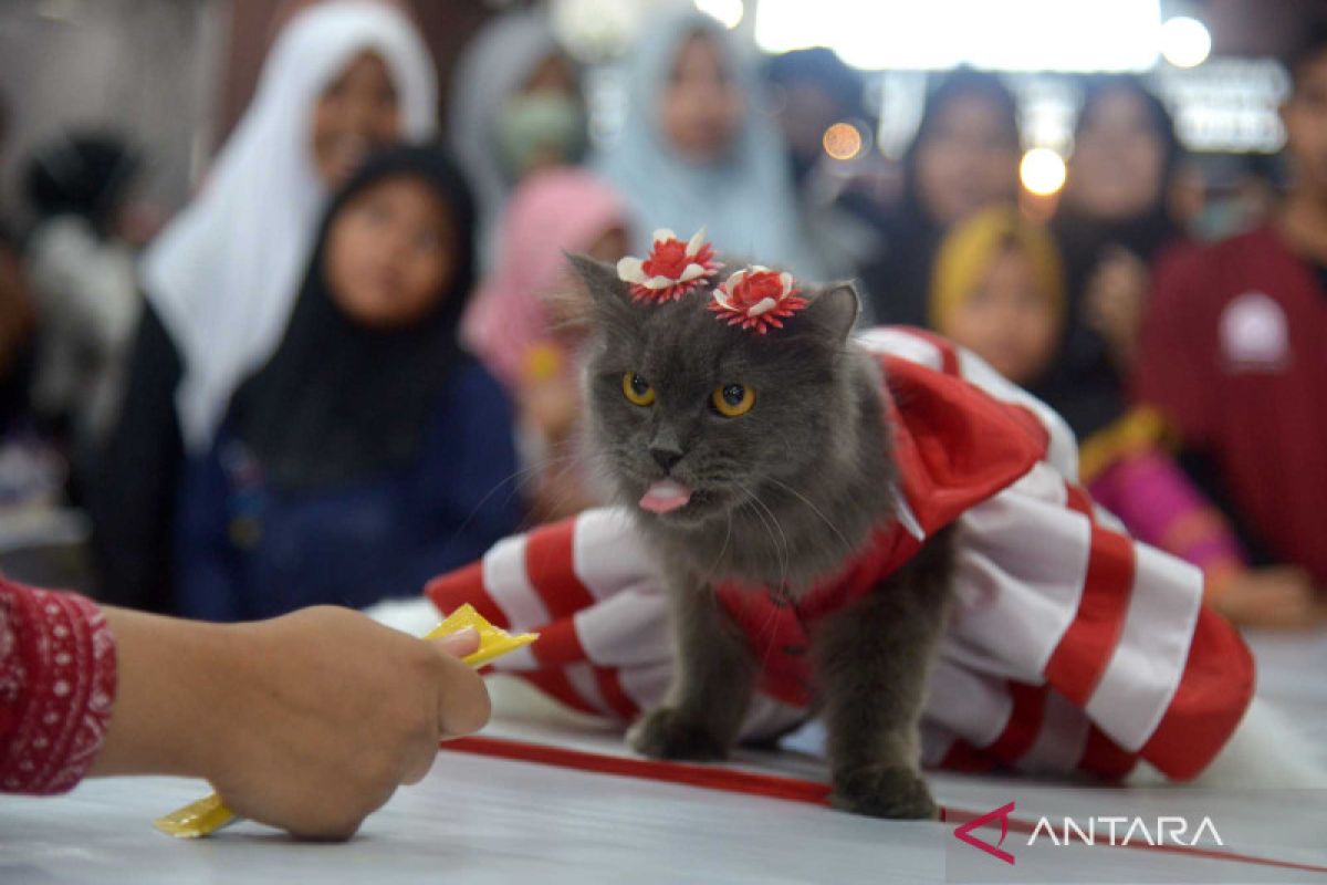 Foto pilihan pekan keempat Agustus 2022 - ANTARA News