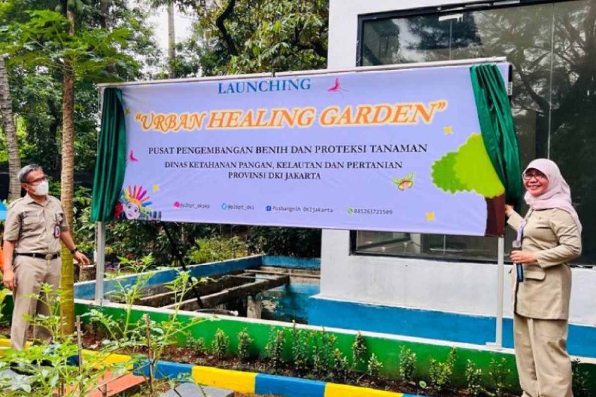 DKI luncurkan "urban healing garden" untuk warga Jakarta - ANTARA News