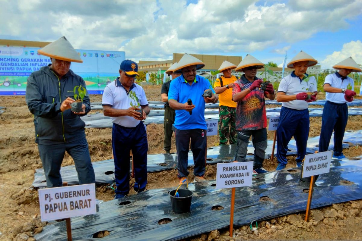 Papua Barat mulai gerakan nasional pengendalian inflasi pangan - ANTARA News Papua Tengah