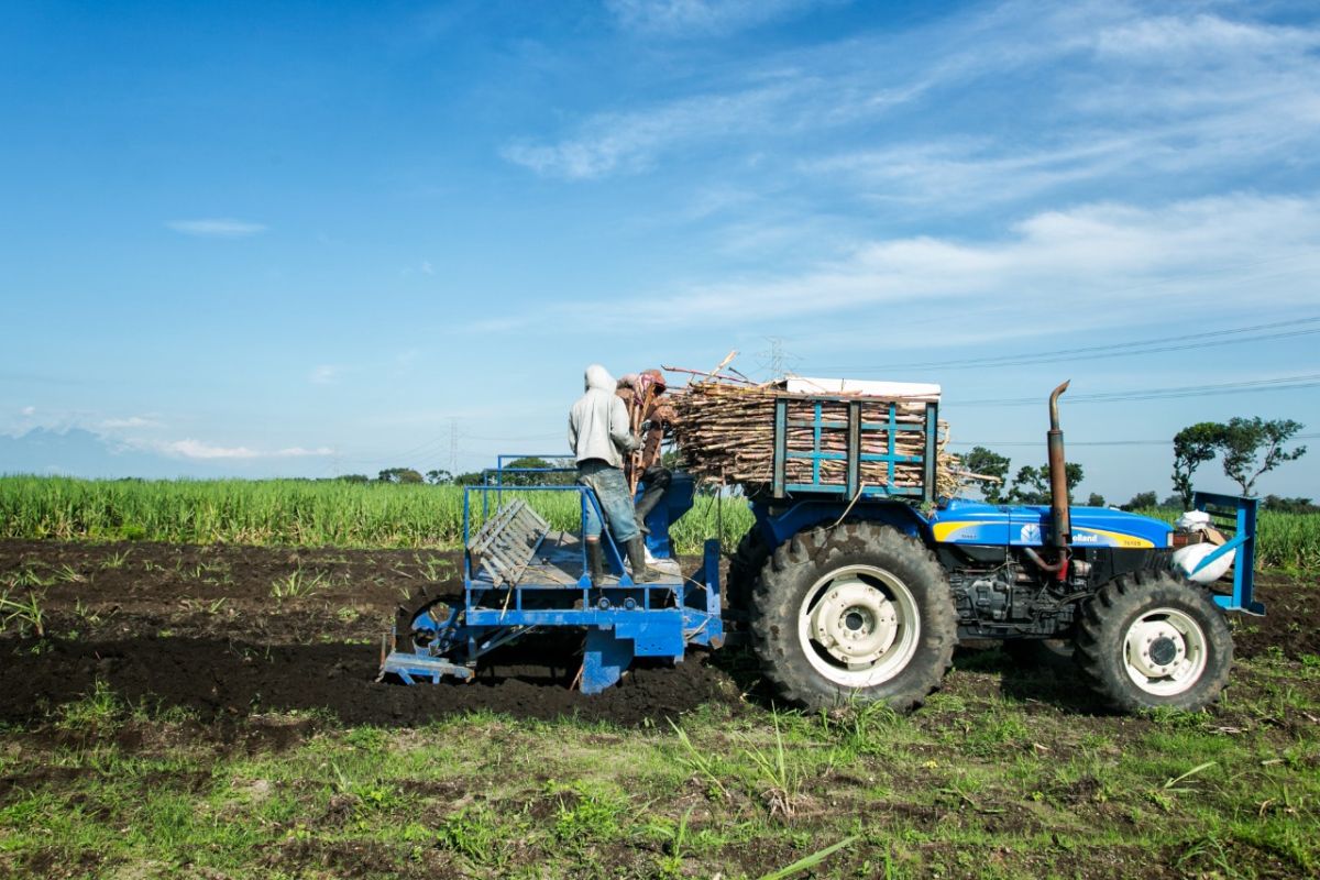 Progres giling PTPN X tahun 2022 lampaui target - ANTARA News Jawa Timur