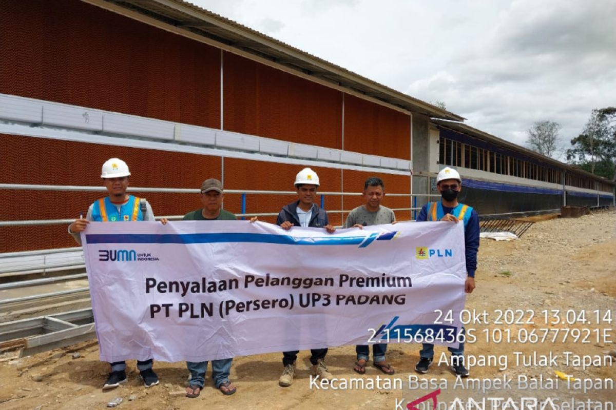Dua pengusaha ternak ayam di Pesisir Selatan jadi pelanggan premium PLN, butuh keandalan listrik ...