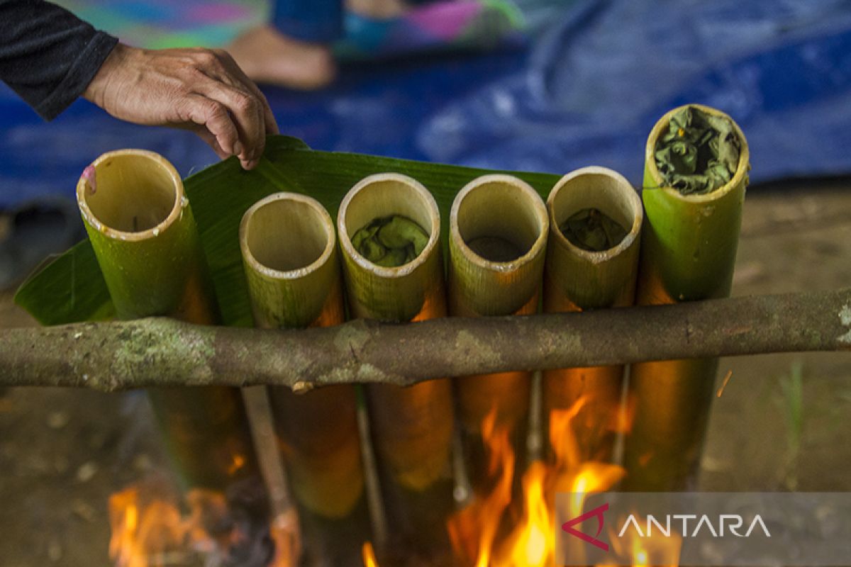 Tradisi Mahumbal Khas Dayak Meratus - ANTARA News Kalimantan Selatan