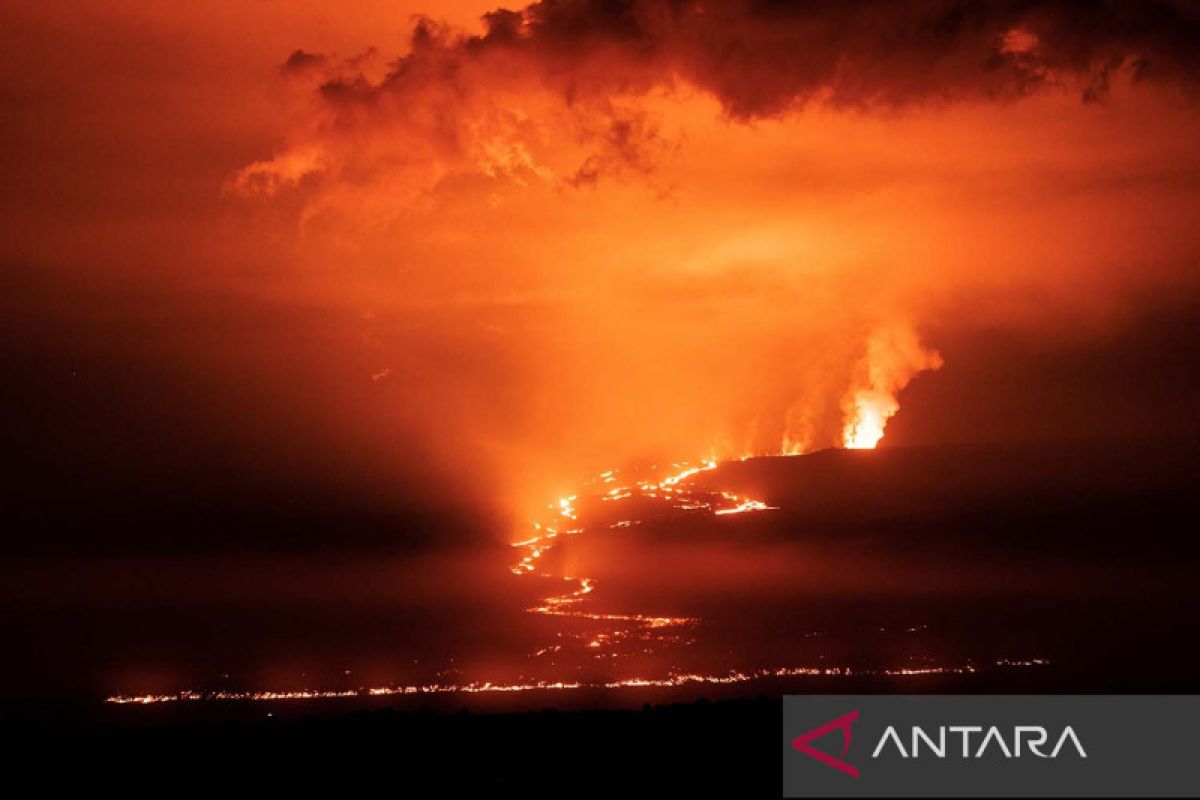 Letusan gunung berapi Mauna Loa di Hawaii - ANTARA News