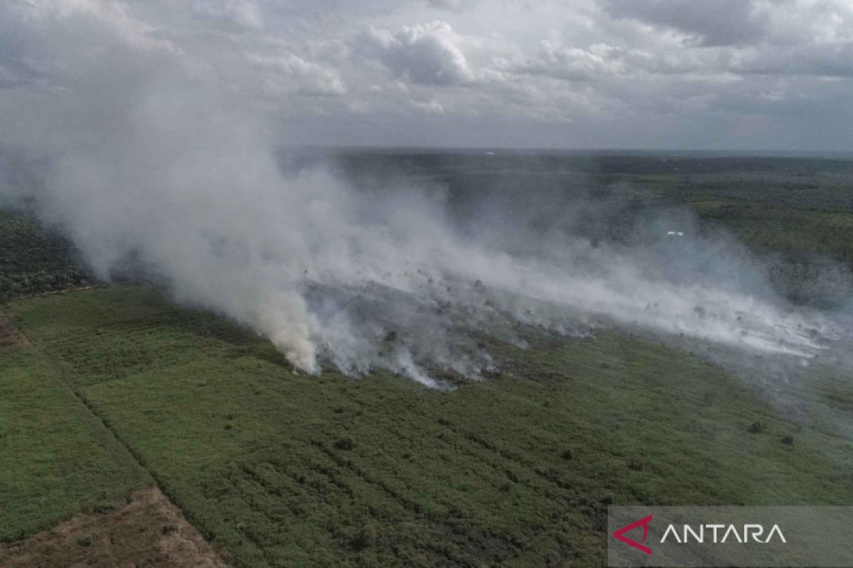 Upaya pemadaman kebakaran hutan dan lahan di Pangkalan Bun, Kalimantan Tengah - ANTARA News