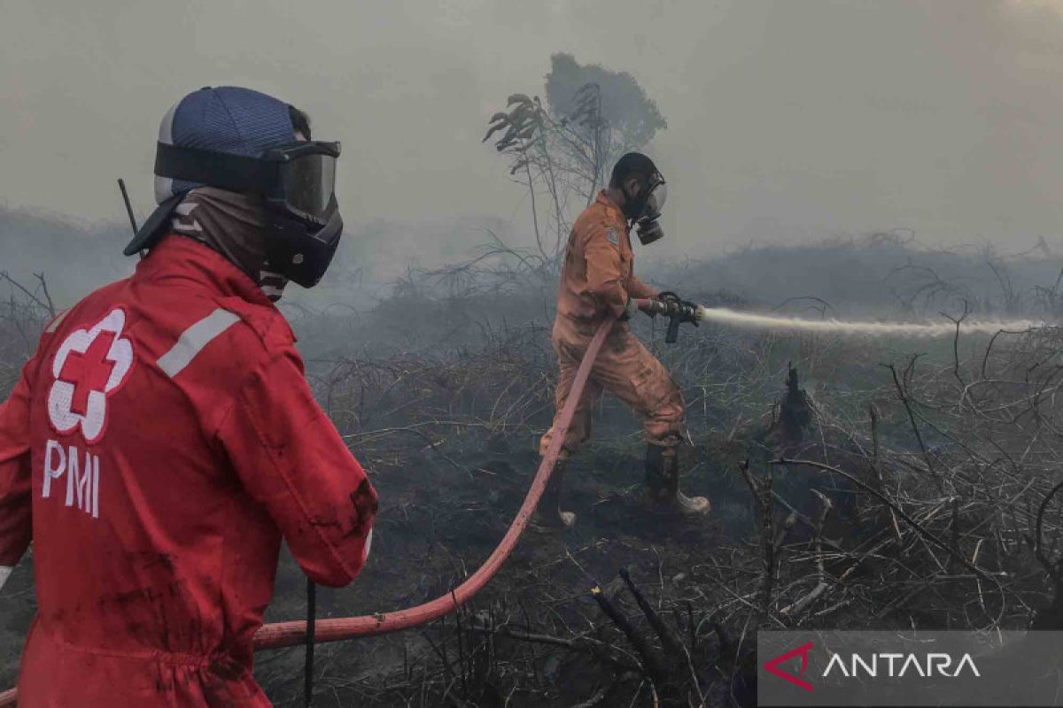 Upaya pemadaman kebakaran hutan dan lahan di Pangkalan Bun, Kalimantan Tengah - ANTARA News