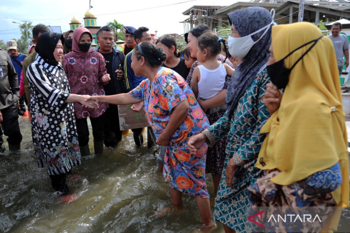 Menteri Sosial tinjau bencana banjir di Pati - ANTARA News