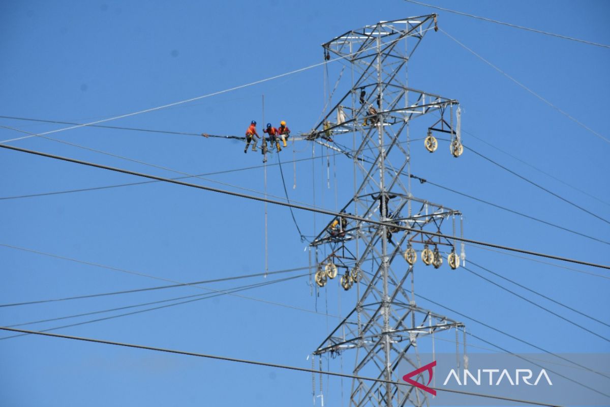 Perkuat Jaringan Transmisi, Cara PLN Tingkatkan Keandalan Listrik - ANTARA News Bangka Belitung