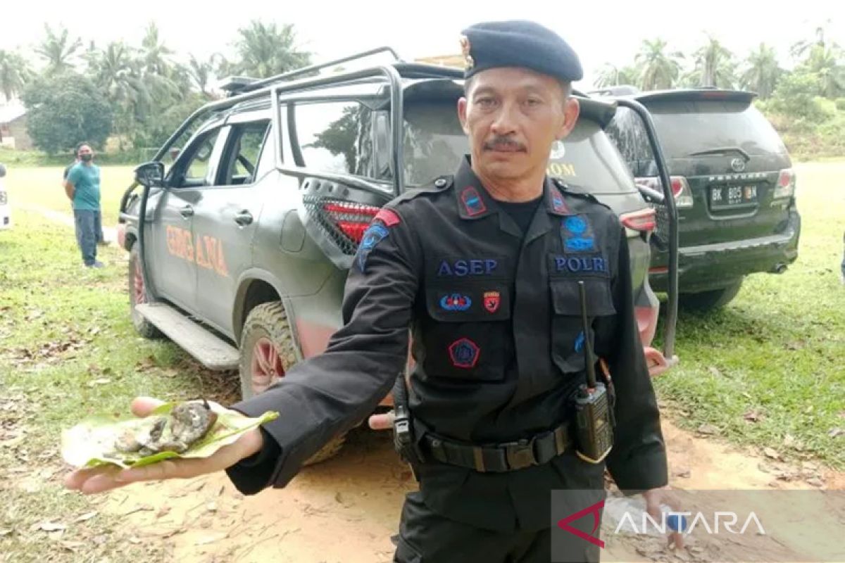 Tim Jibom Brimob musnahkan granat temuan warga di Aceh Tamiang - ANTARA ...