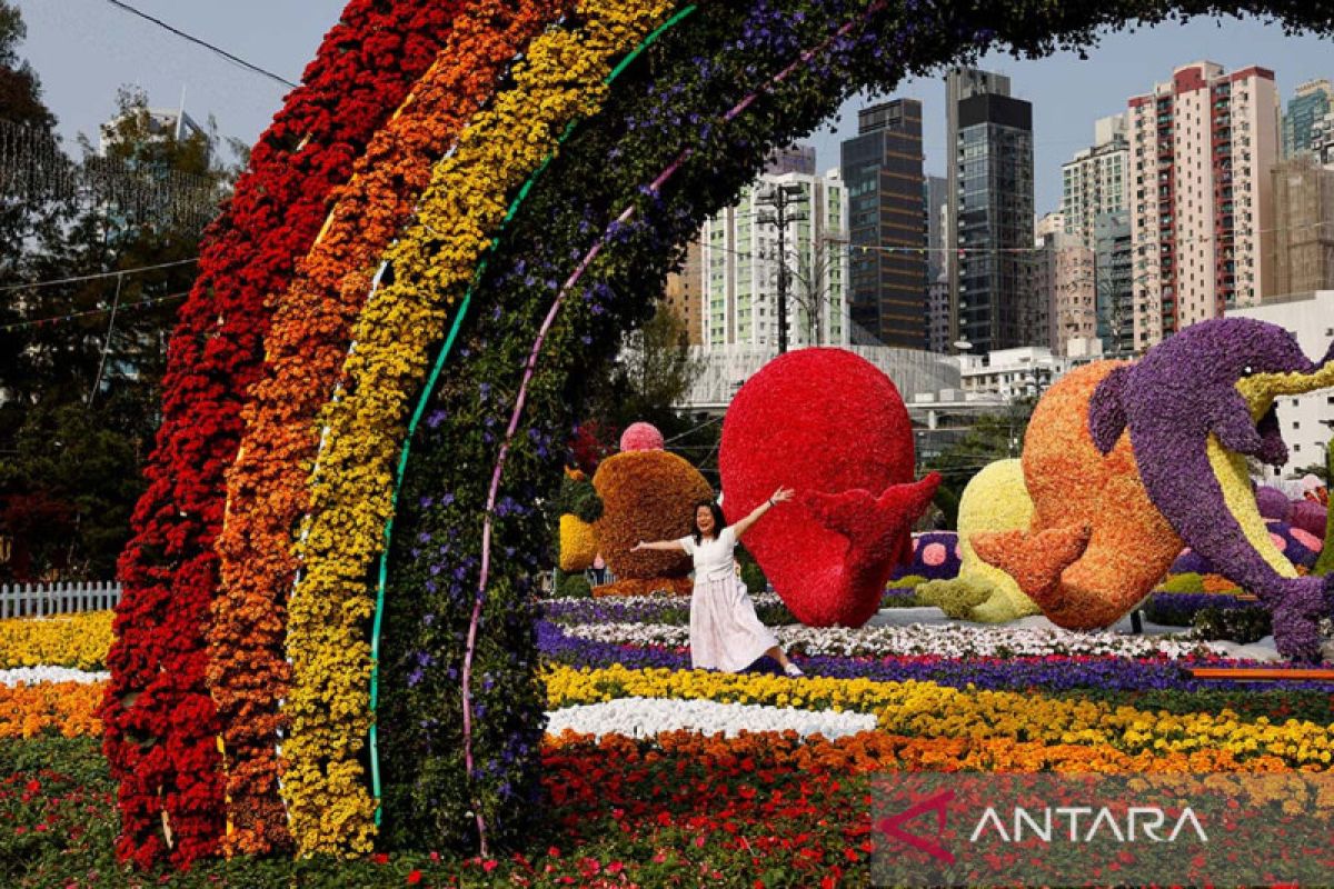 Warna-warni bunga dipamerkan di Hong Kong - ANTARA News