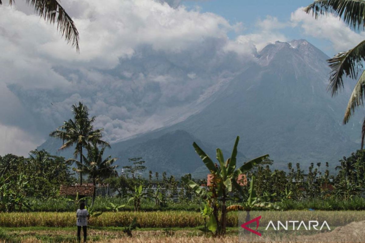 Luncuran awan panas erupsi Gunung Merapi - ANTARA News