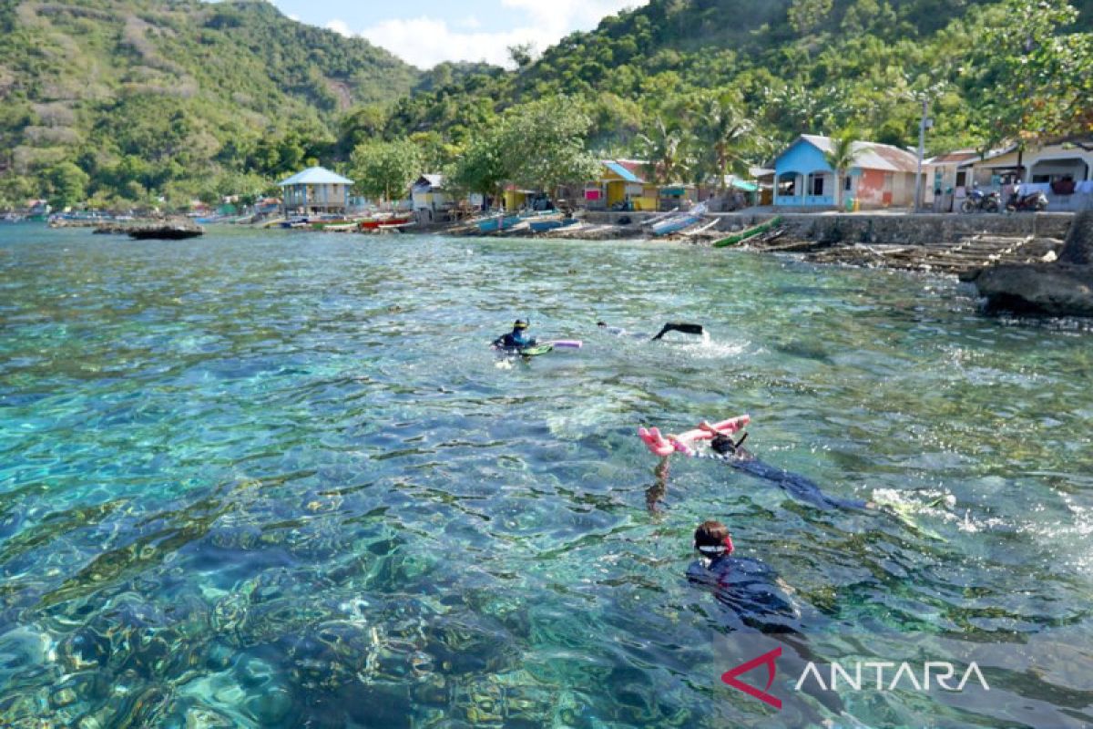 Snorkeling di objek wisata Taman Laut Olele - ANTARA News