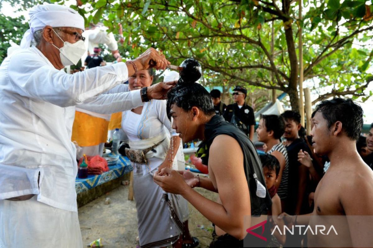 Tradisi mebuug-buugan di Bali - ANTARA News Tradisi mebuug-buugan di Bali - ANTARA News