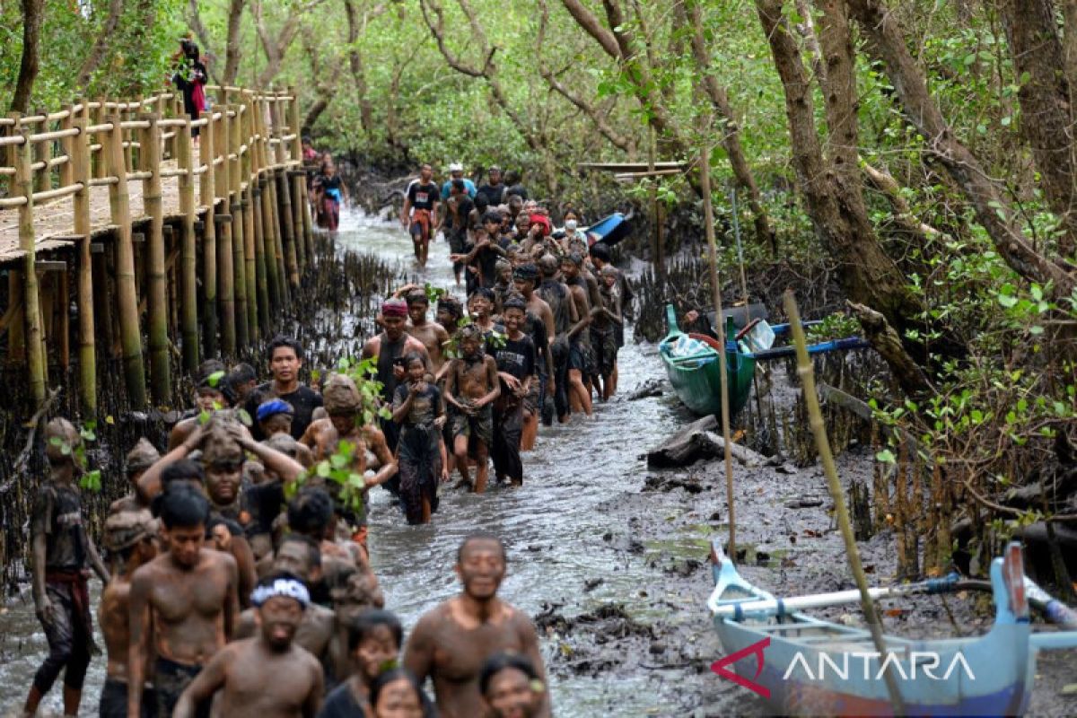 Tradisi mebuug-buugan di Bali - ANTARA News Tradisi mebuug-buugan di Bali - ANTARA News