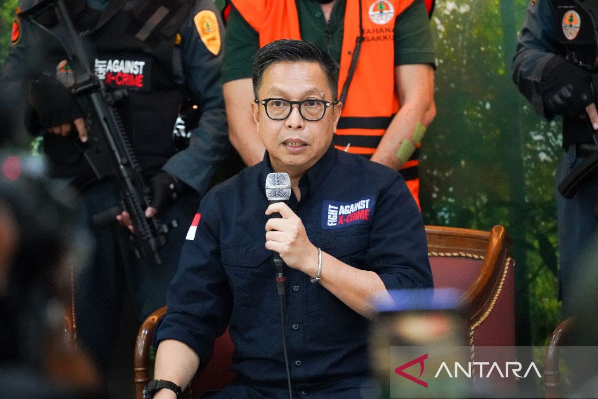 KLHK tindak Pemodal Tambang Timah Ilegal di Manggar Belitung Timur - ANTARA News Bangka Belitung