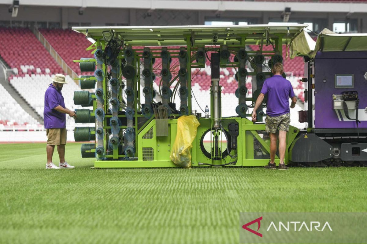 Penjahitan rumput lapangan Stadion Utama Gelora Bung Karno - ANTARA News