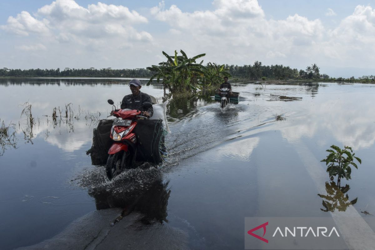 Kawasan lumbung padi dilanda banjir - ANTARA News Jawa Barat