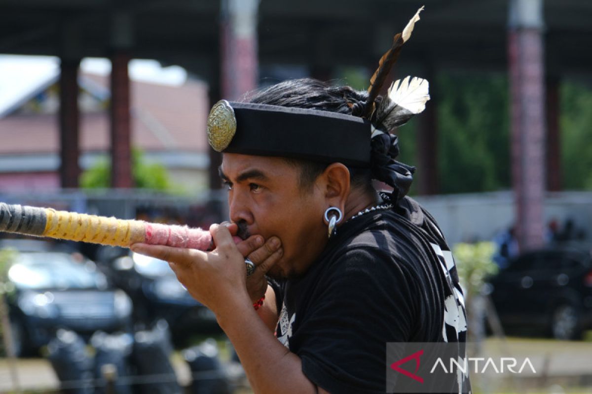 Lomba menyumpit di Pekan Gawai Dayak - ANTARA News Kalimantan Barat