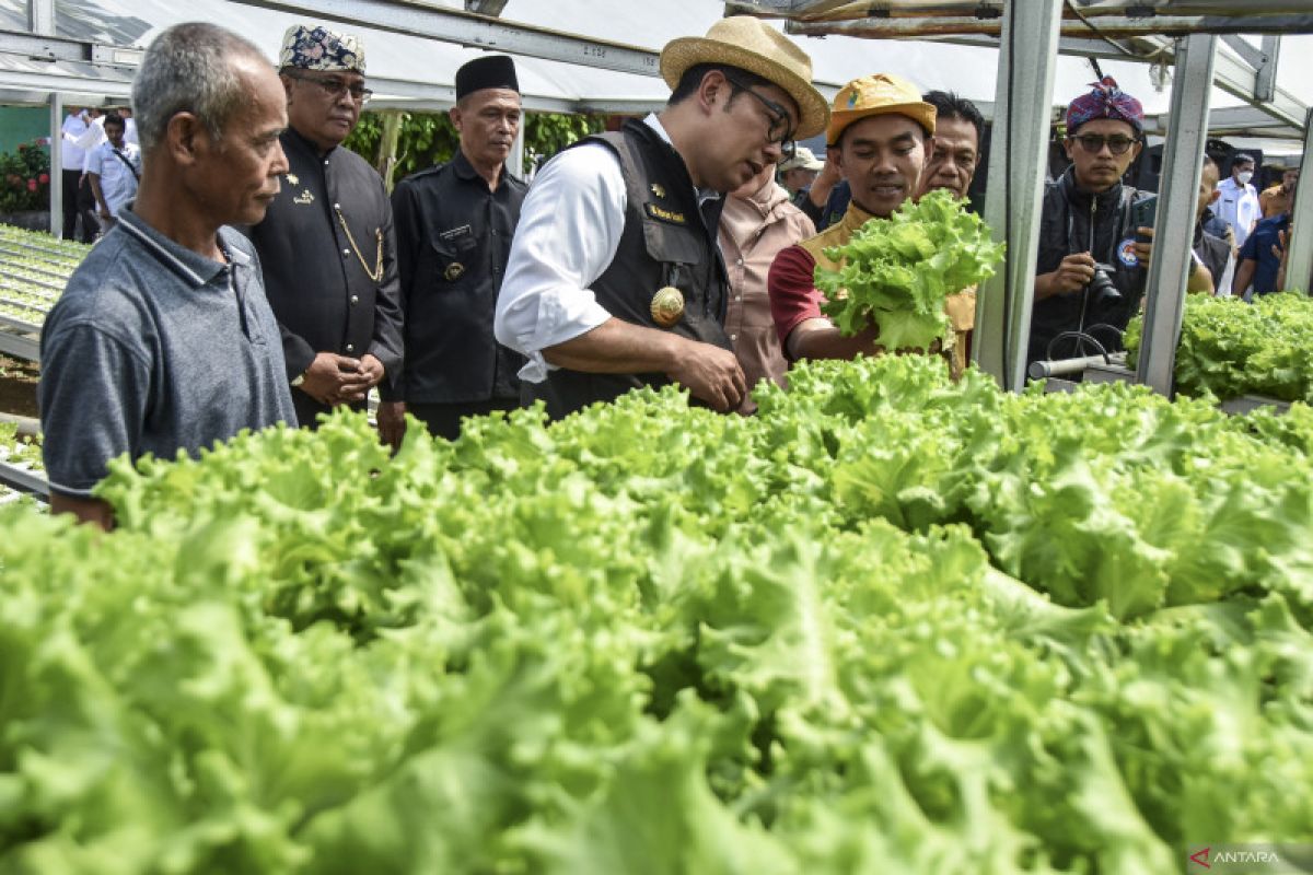 Gubernur Jawa Barat silahturahmi dengan petani milenial - ANTARA News