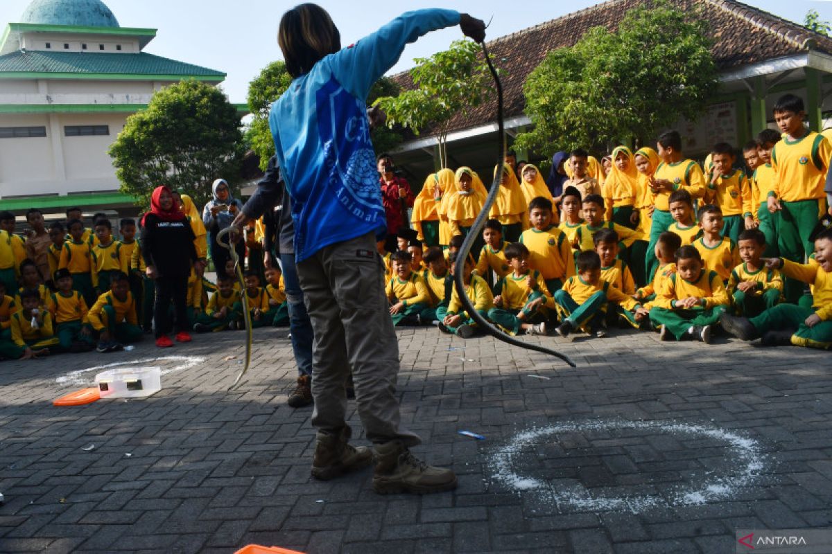 Edukasi ular pada murid di Madiun - ANTARA News Jawa Timur