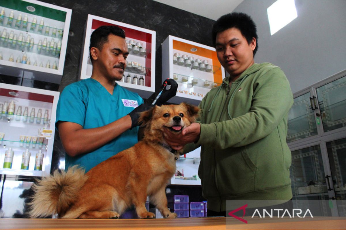 Vaksin rabies di Pontianak - ANTARA News