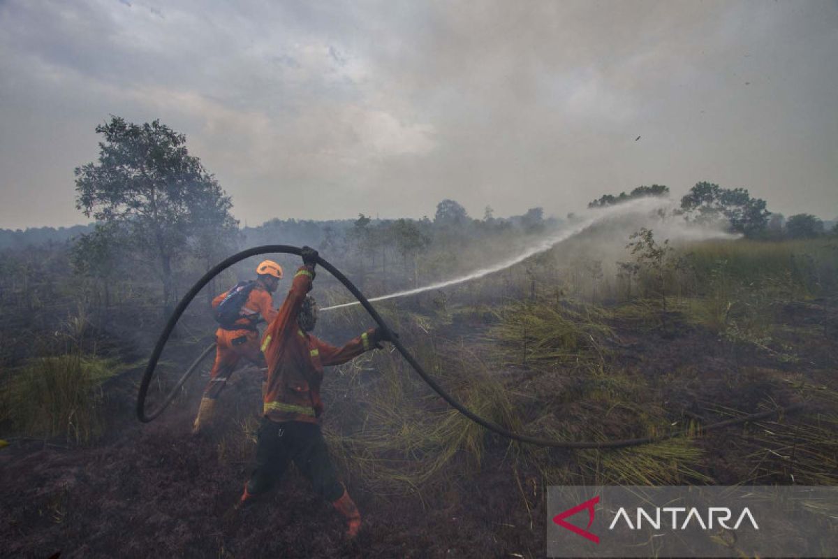 Kebakaran hutan dan lahan di Kalimantan Selatan - ANTARA News