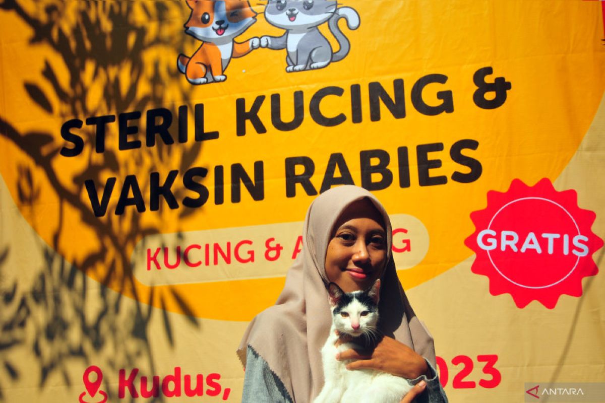 Steril kucing dan vaksinasi rabies di Kudus - ANTARA News