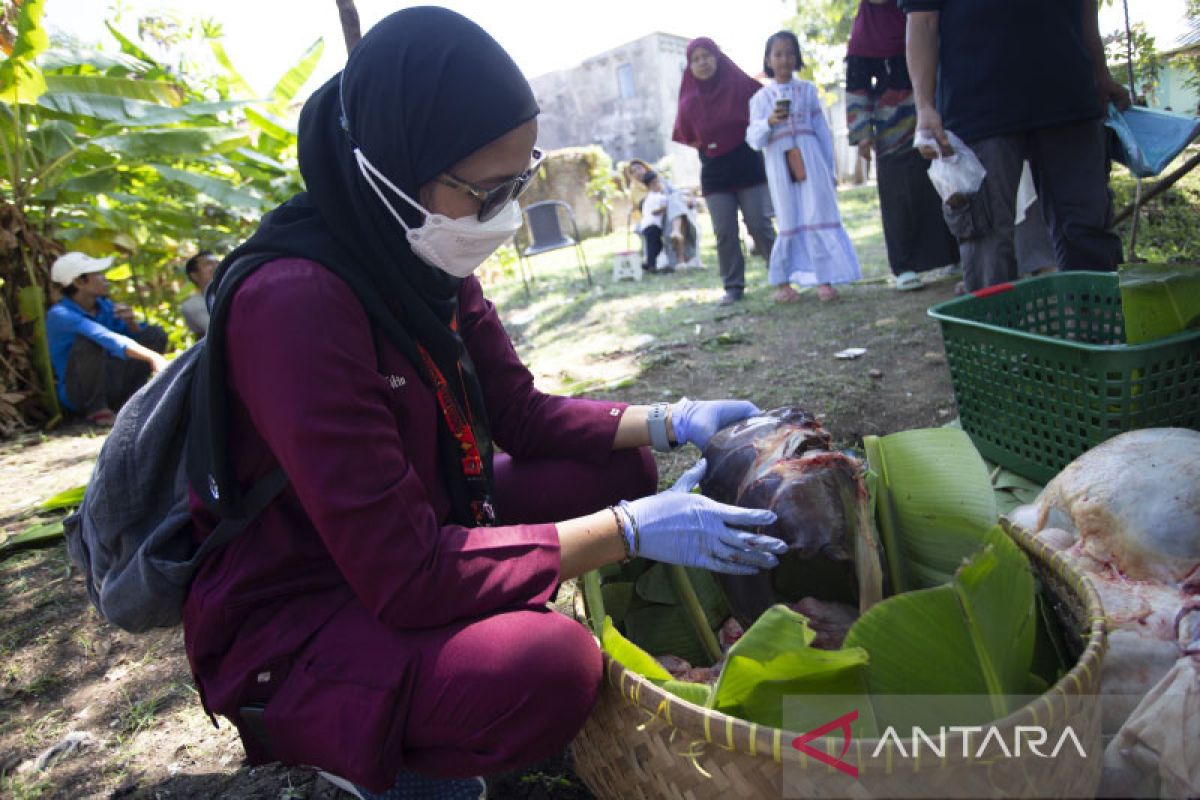 Pemeriksaan daging hewan kurban - ANTARA News Jawa Barat