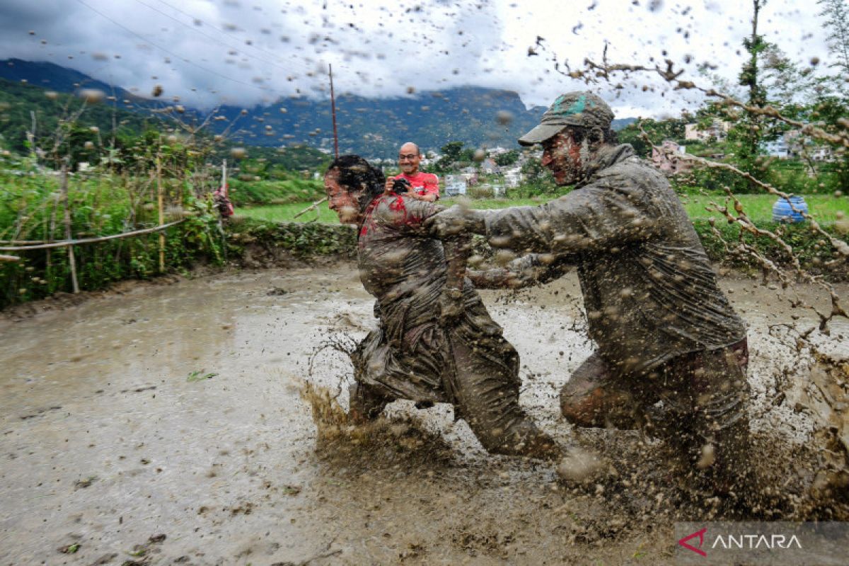 Hari Padi Nasional di Nepal - ANTARA News