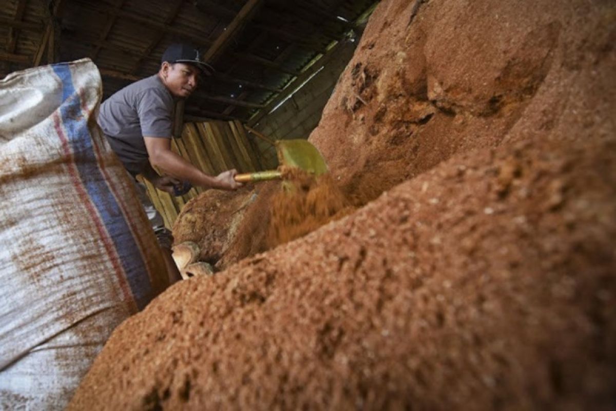 Hingga Juni 2023, PLN Manfaatkan 5.132 Ton Biomassa dalam Proses Co-Firing PLTU - ANTARA News ...