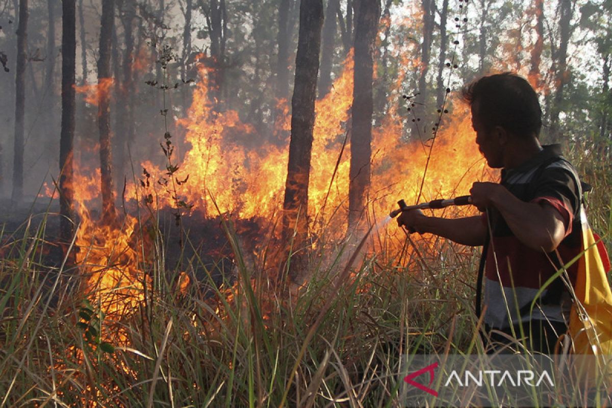 Padamkan kebakaran hutan Ngawi - ANTARA News