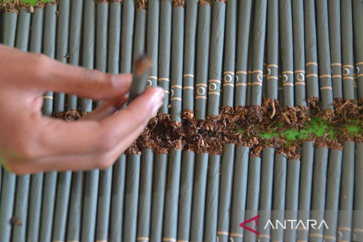 FOTO - Industri rokok tradisional di Aceh - ANTARA News Aceh