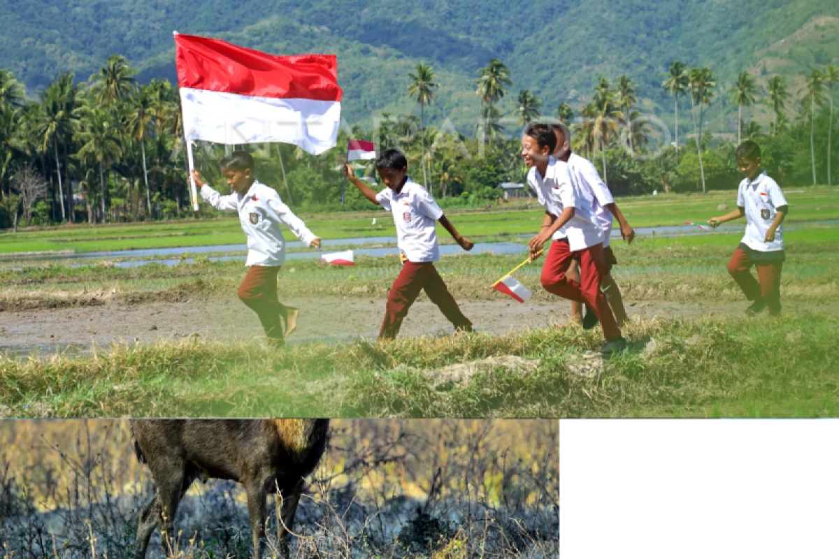 Gerakan 10 juta Bendera Merah Putih di Bone Bolango - ANTARA Sumbar