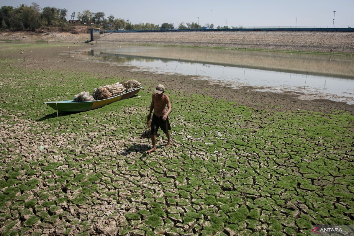 Prediksi puncak kemarau kering 2023 di Indonesia - ANTARA News