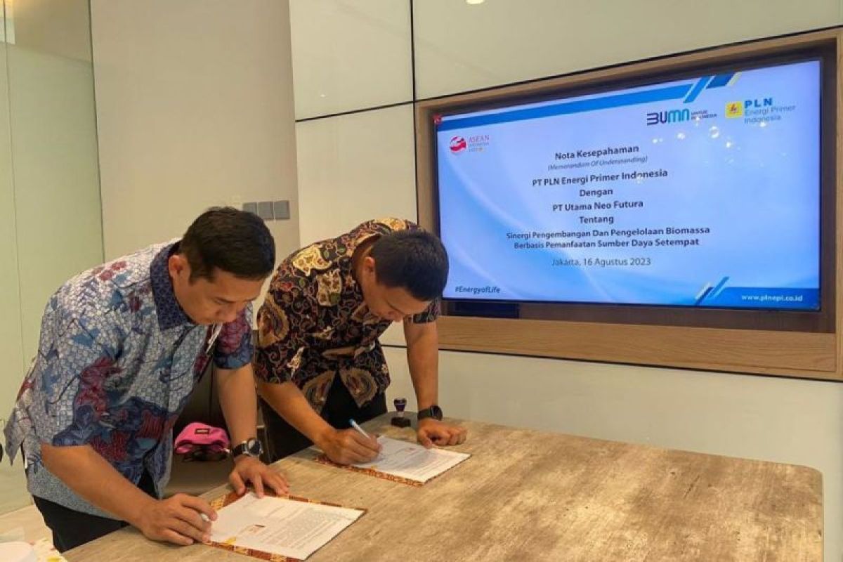 PLN EPI kerja sama olah limbah sawit jamin rantai pasok biomassa PLTU - ANTARA News