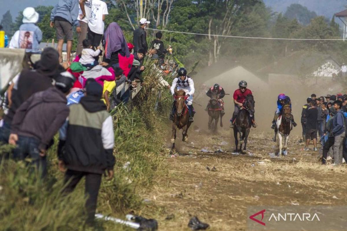 Pacuan kuda tradisional jadi hiburan rakyat di Lembang - ANTARA News